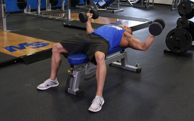 Dumbbell Fly Culturism Culturismulro